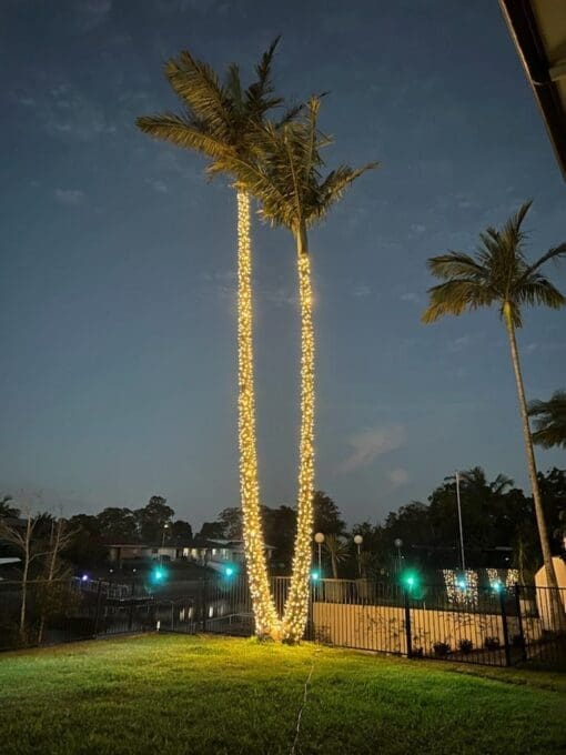 How to Install Fairy Lights in a Tree | Mr Festoon Lights